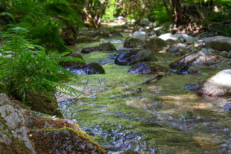 River in the Mountains with Boulders and Rocks Stock Image - Image of ...