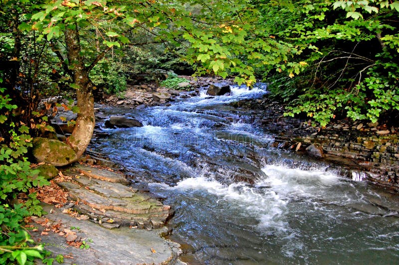 River in Mountains Carpathians Flows through Rapids Rocks on the Shore ...