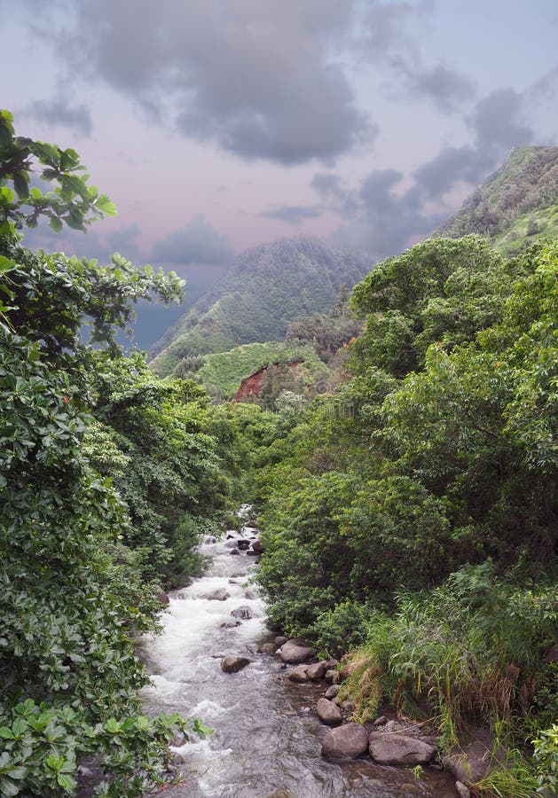 River Mountains and Jungle Maui, Hawaii Stock Photo - Image of maui ...
