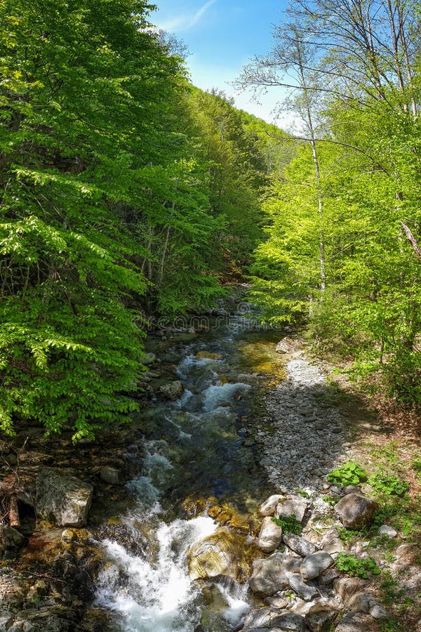 River in the Mountains in Summer - Cheile Oltetului, Romania Stock ...