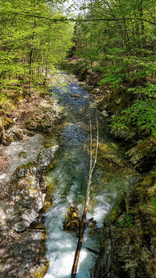 River in the Mountains in Summer - Cheile Oltetului, Romania Stock ...