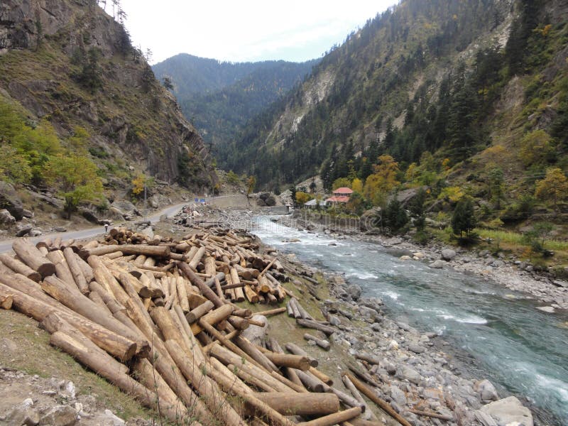River Mountains and Tree Woods Stock Image - Image of innocent, bird ...