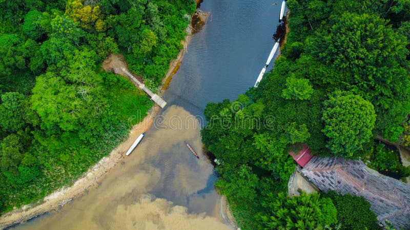River Mouth in a Jungle Seen from Above Stock Image - Image of trees ...