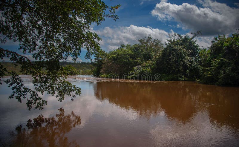 River with Muddy and Serene Waters Surrounding the Forest Vegetation ...