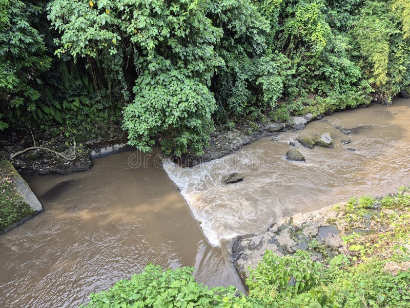 A River with Murky Water Flows through a Lush Green Forest Stock Image ...