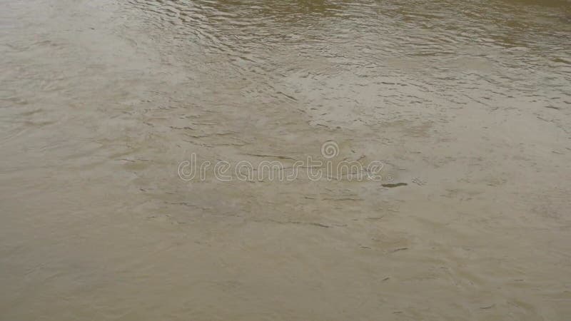 A River with Murky Waters, a River Flowing through a Settlement Stock ...