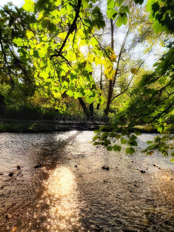 A River in Muted Autumn Light Stock Photo - Image of sunlight ...