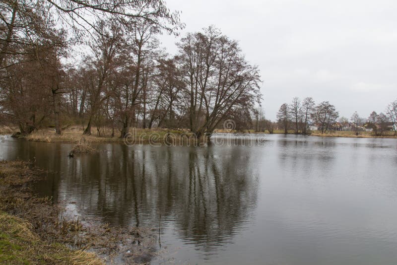 River naab in bavaria stock photo. Image of naab, forest - 84049628