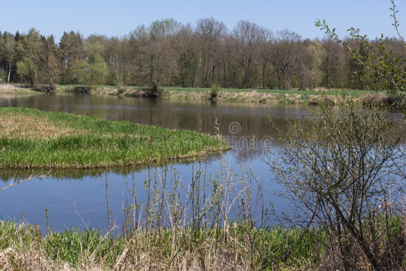 River Naab in Spring stock photo. Image of bright, forest - 53310760