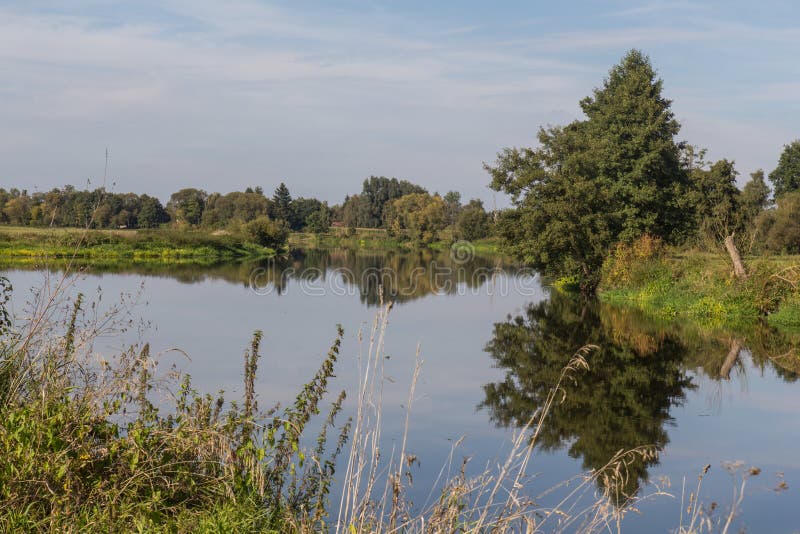 The river Naab in Bavaria stock photo. Image of green - 55691424