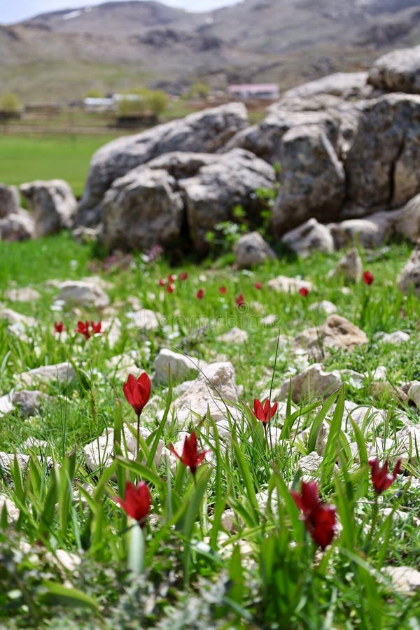 Narrow way out of a canyon stock image. Image of escape - 59449111