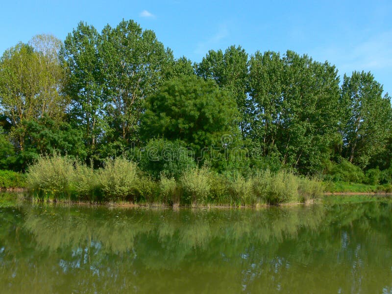 A river is a water course stock photo. Image of beauty - 112928742