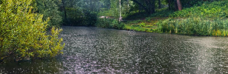 River Near the Forest in Rainy Weather. it Rains Stock Photo - Image of ...