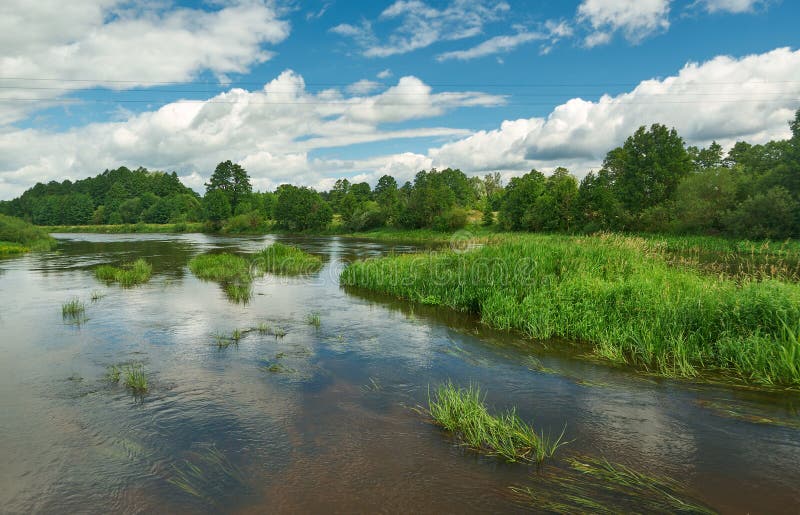 River Neman , Belarus stock image. Image of mist, sunny - 146998721