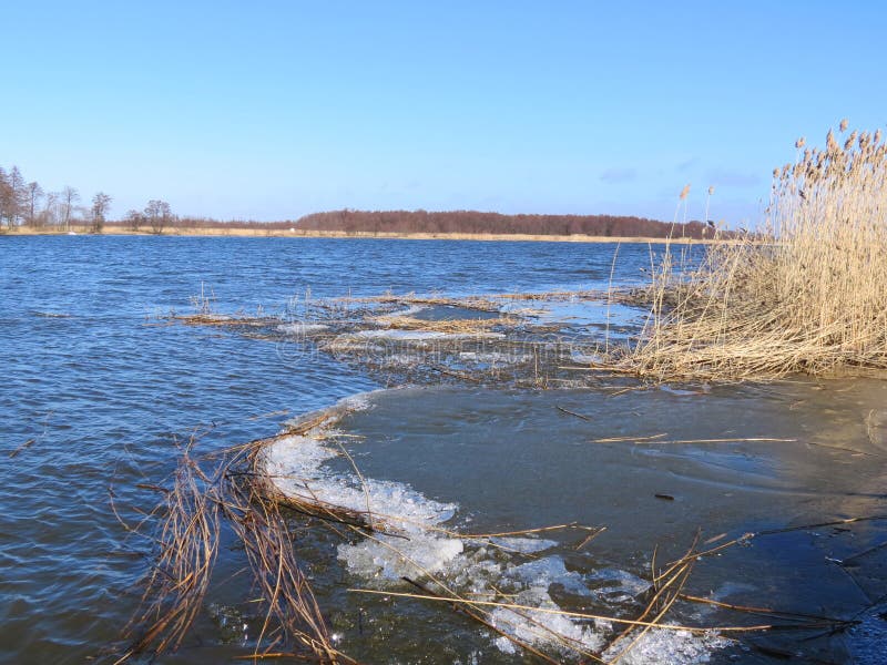 River Nemunas, Lithuania stock image. Image of view, plant - 38672063