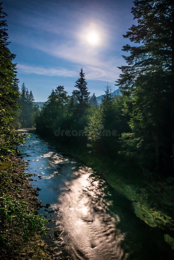 River in the night forest stock image. Image of river - 58749685