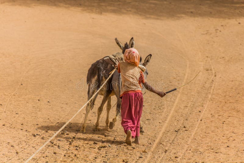 RIVER NILE STATE, SUDAN - MARCH 5, 2019: Donkey Pulling Water from a ...