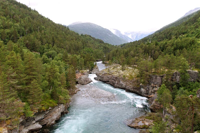 River in Norway. stock photo. Image of tree, beauty, rural - 20434226
