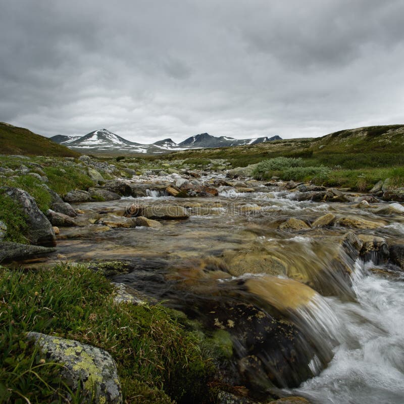 River in Scandinavian Ladnscape Stock Photo - Image of clean, europe ...