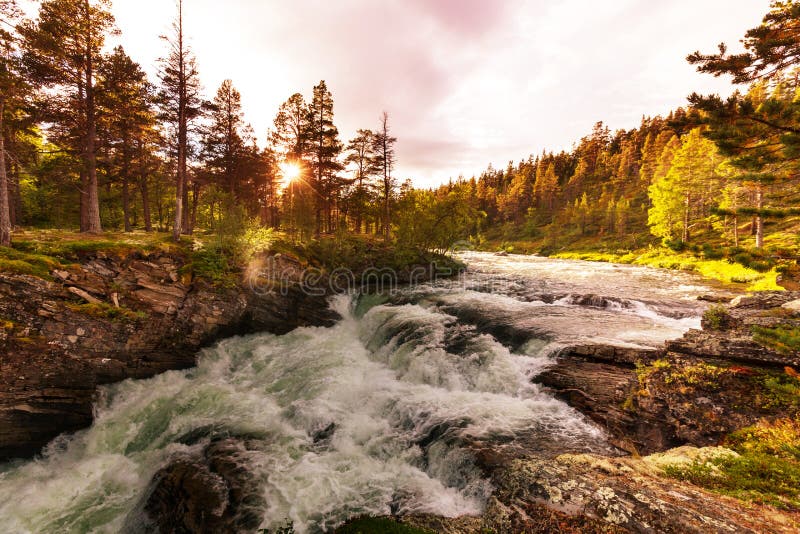 River in Norway stock image. Image of rushing, norway - 67327009