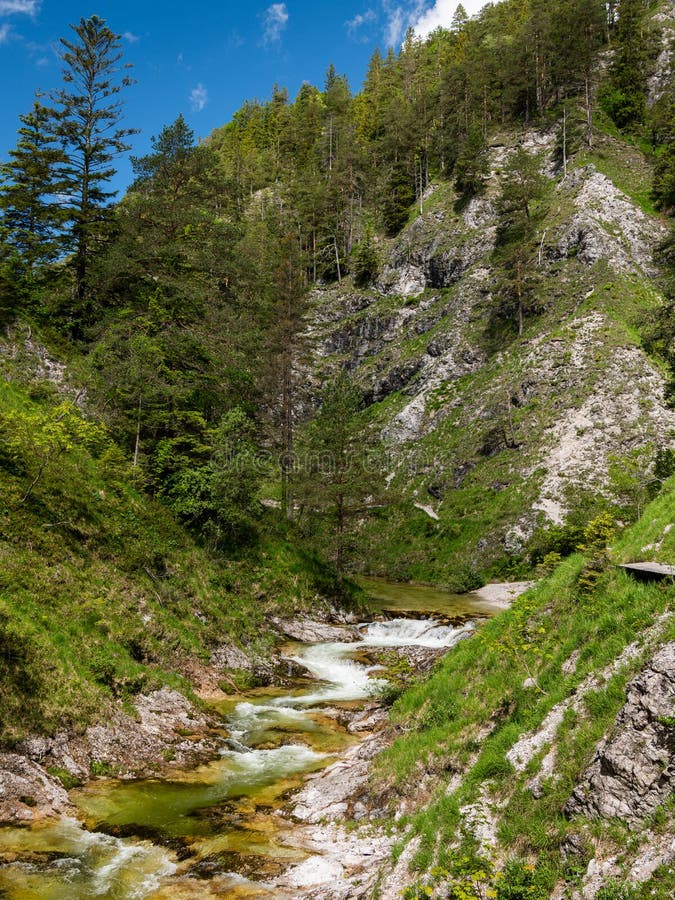 River in the Oetschergraeben Gorge in Austria Stock Photo - Image of ...
