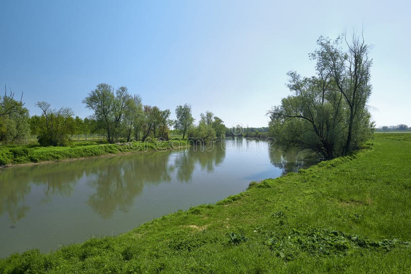River oglio stock image. Image of river, plant, green - 145648717