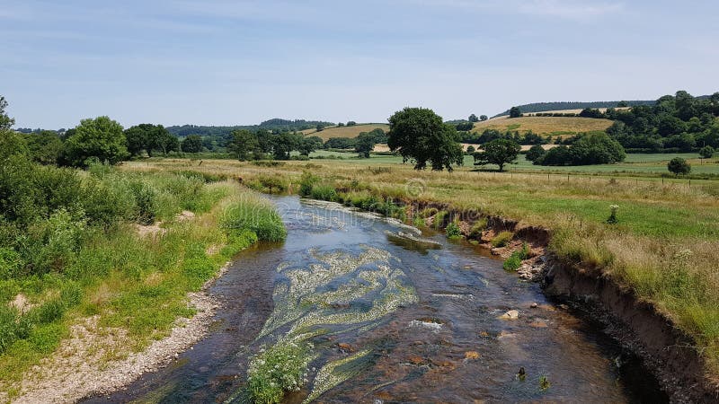 River Otter, Tipton St John, Devon Stock Image - Image of holds ...