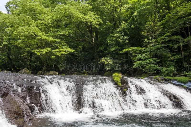 River over rock step stock photo. Image of nature, invigorating - 66831348