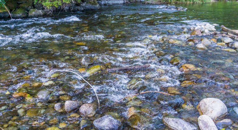 River Over Rocks stock photo. Image of rocks, nature - 155942588