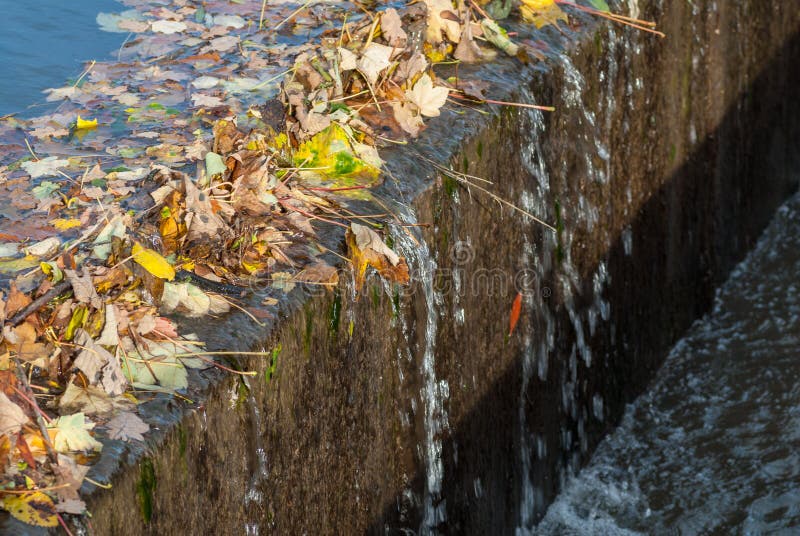 River Overflow Autumn stock image. Image of overspill - 62727767