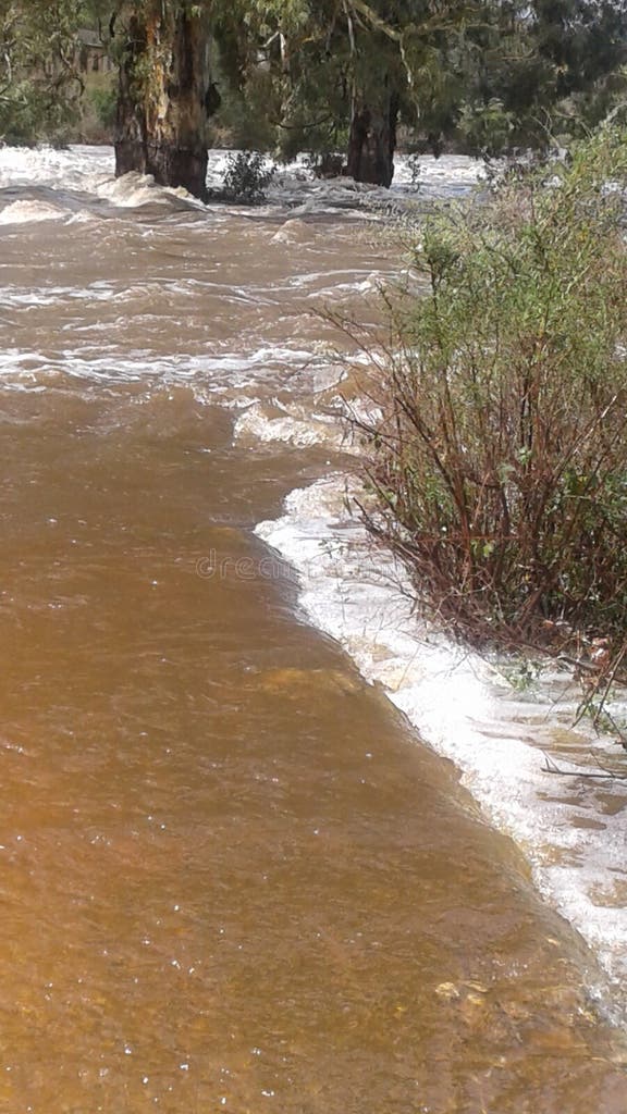 River overflow stock image. Image of river, flood, overflows - 126169253