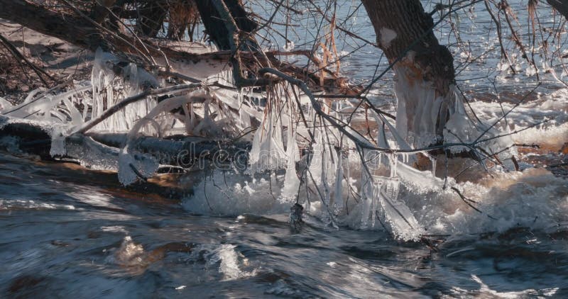 The River Overflowed Its Banks during the Spring Flood. the Fast Flow ...