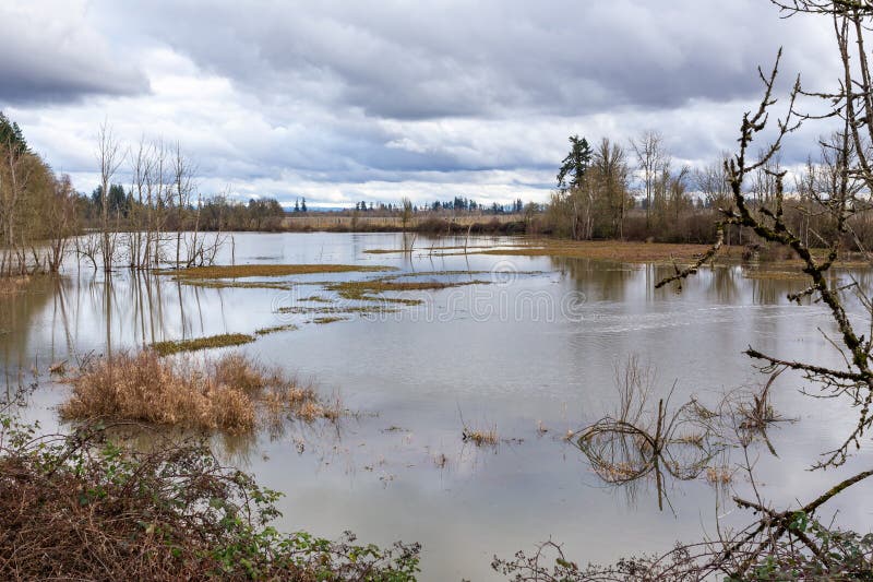 River Overflowing Its Banks during a Flood Stock Image - Image of ...