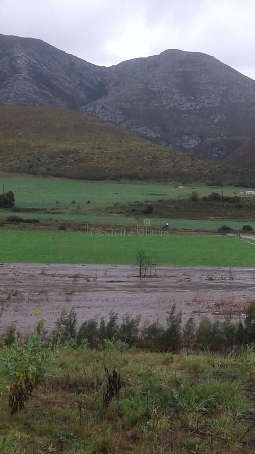Flood stock image. Image of river, flood, pasture, mountain - 126169413
