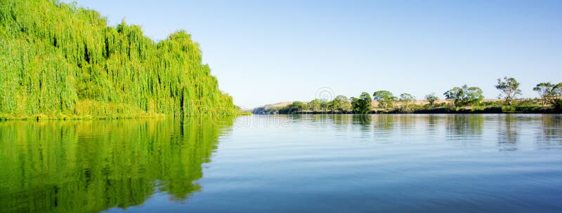 Murray River Panoramic stock photo. Image of cliff, river - 3308280