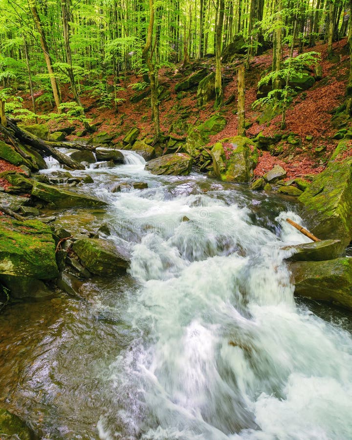 River in the Park among Boulders Stock Image - Image of stone, spring ...