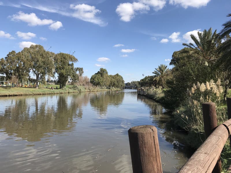 River at the Park stock image. Image of nature, trees - 109871557