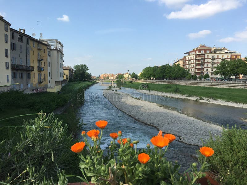 Parma stock photo. Image of flower, nature, italy, river - 115903568