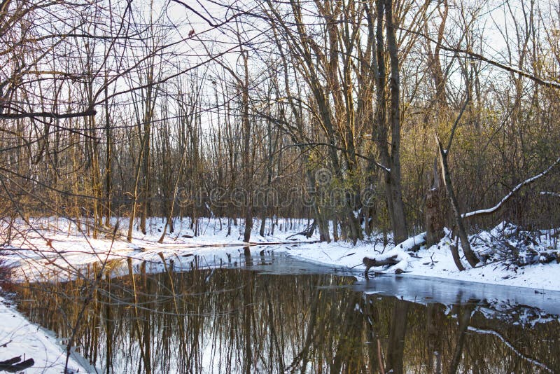 A River Passing through a Wooded Area after the First Snow Covering the ...