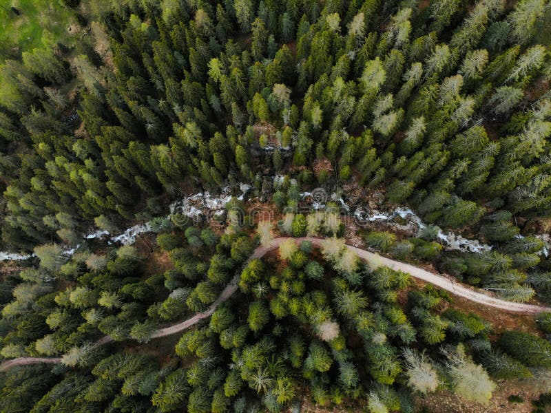 The river and the path stock image. Image of plant, woodland - 208117333