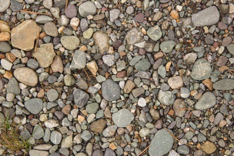 River Pebbles of Different Colors on the River Bank in the Summer on a ...