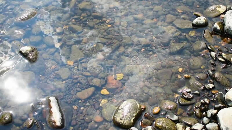 River Pebbles Under Clean Transparent Water Stock Footage - Video of ...