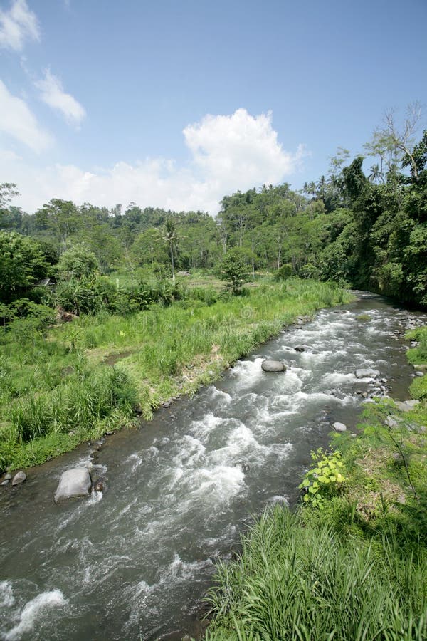 River Photo, Bali Island, Indonesia Stock Photo - Image of massif ...