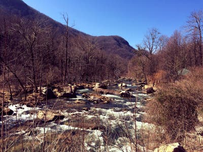 South Carolina Roblox Pic Stock Photos - Free & Royalty-Free Stock ...