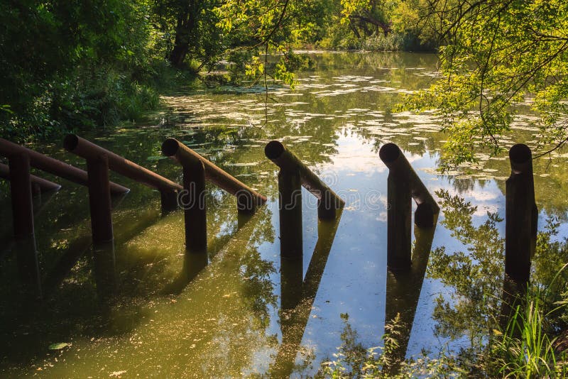 River and piles stock image. Image of branch, river, water - 76622217