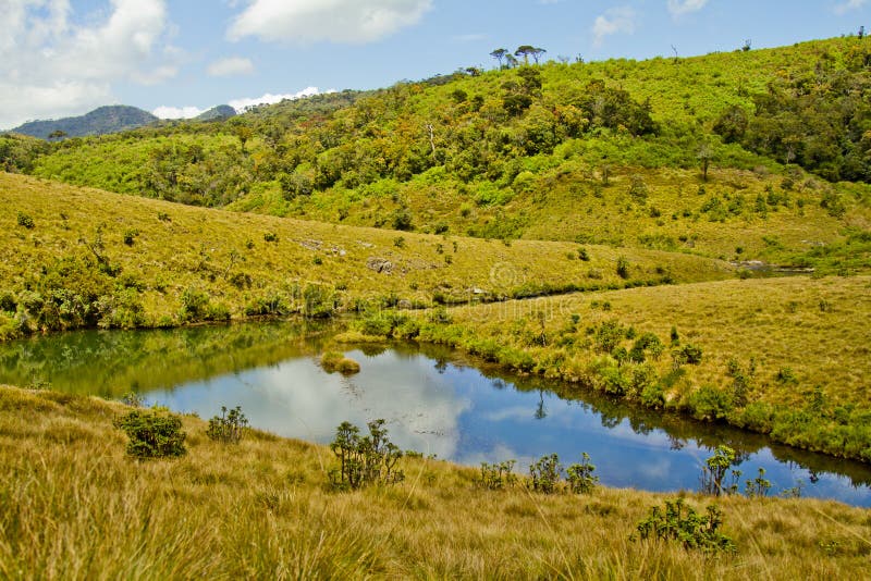 River in the plains stock image. Image of river, world - 86149373