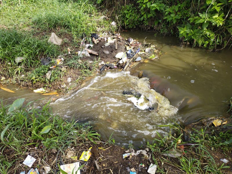 The River is Planted with a Lot of Garbage Stock Photo - Image of plant ...