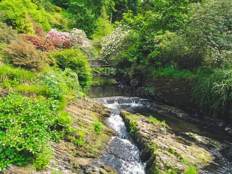 River Plants and Flowers in a Garden Stock Image - Image of destination ...