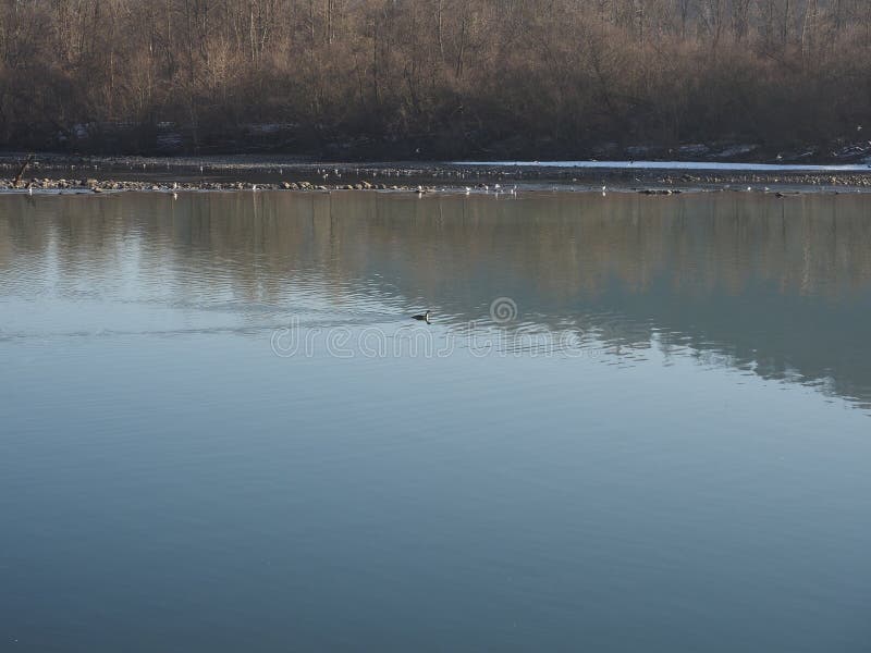 River Po in Chivasso stock photo. Image of water, piedmont - 236969562