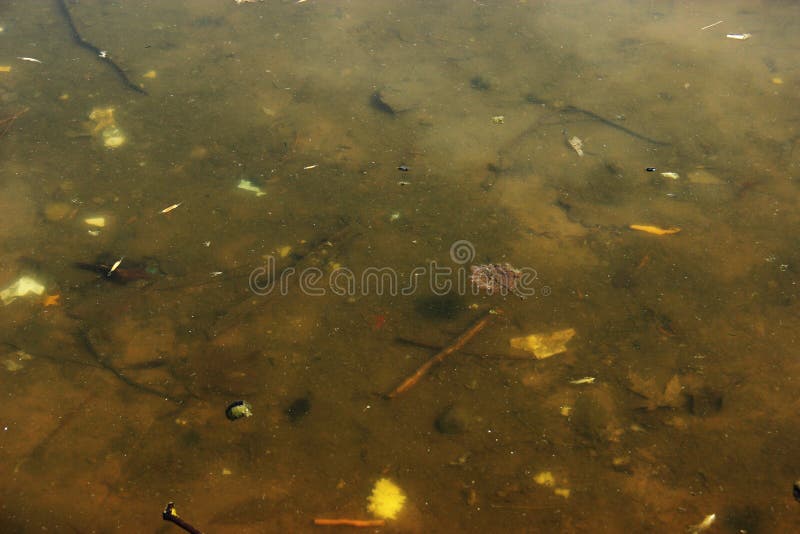 River that is Polluted with Various Garbage and Trash, Polluted Rivers ...